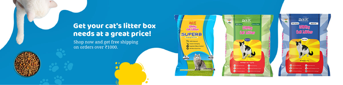 Cat – jimmypetproducts